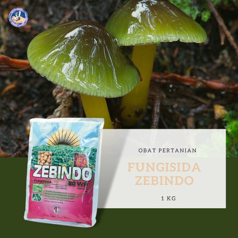 Jual Fungisida ZEBINDO 80 Wp 1 Kg Obat Jamur Pembasmi Jamur Obat ...