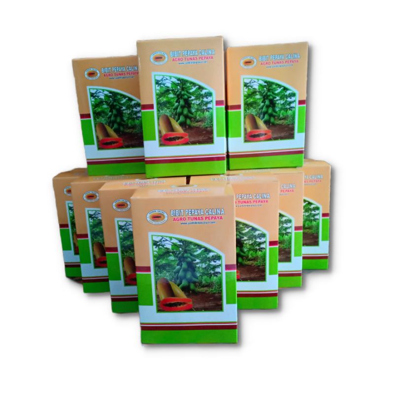 Jual Benih pepaya calina 1 box 20 pcs uk 1gr(50btr) | Shopee Indonesia