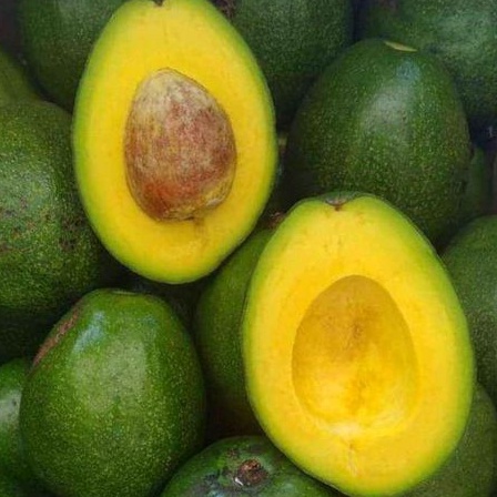 Jual buah alpukat mentega super 1kg | Shopee Indonesia