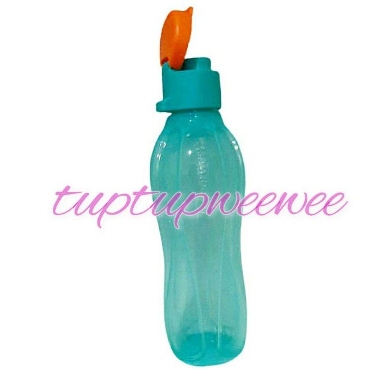 Jual tupperware eco bottle botol 500ml mickey minnie botol | Shopee ...