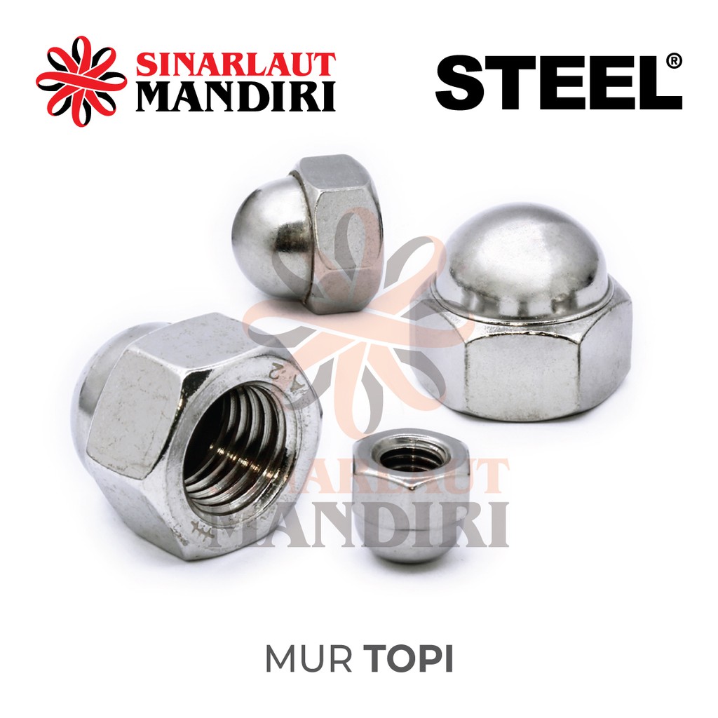 Jual Mur Topi / Cap Nut 1/4" x 20 G | Shopee Indonesia