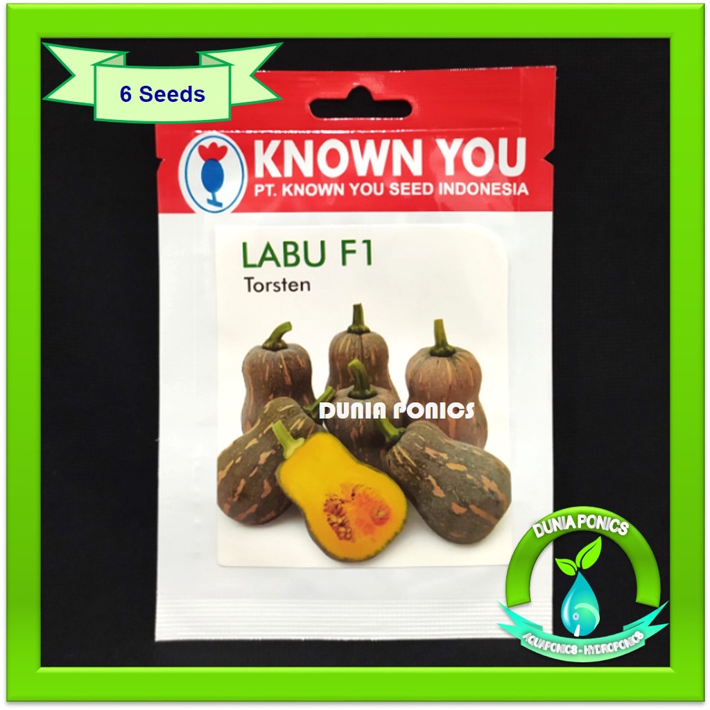 Jual Benih Bibit Labu F1 TORSTEN Labu Madu Known You Seed Original Pack ...