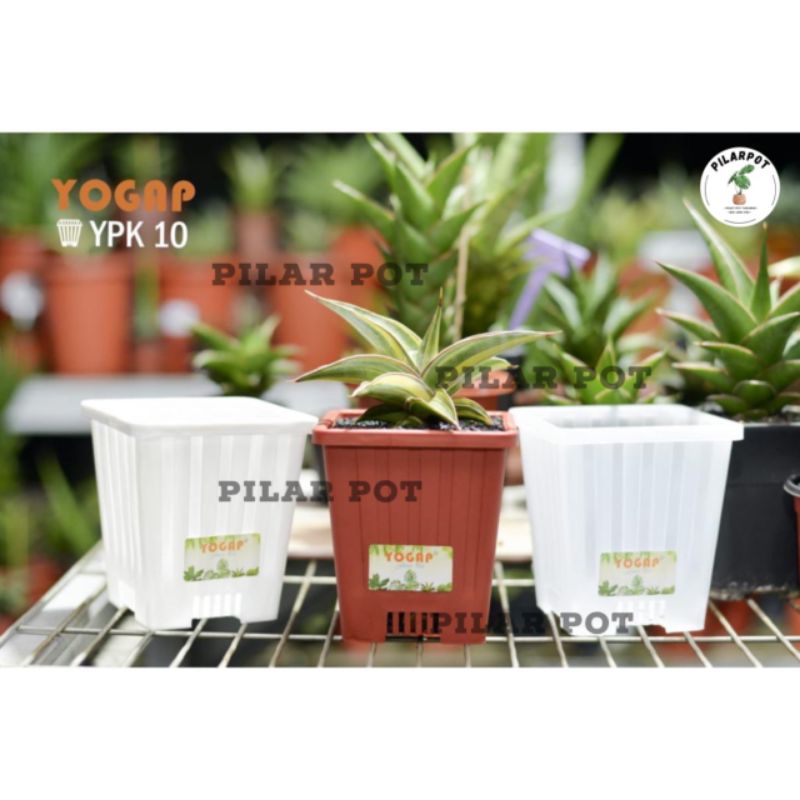 Jual POT BUNGA TANAMAN TINGGI YOGAP KOTAK 10 PUTIH - YOGAP YPK 10 PUTIH ...