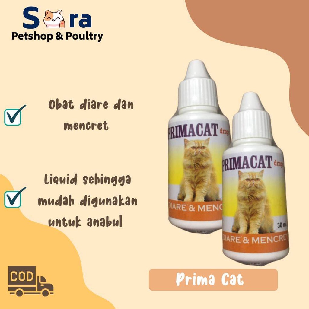 Jual PRIMACAT OBAT DIARE KUCING OBAT MENCRET KUCING OBAT PENCERNAAN ...