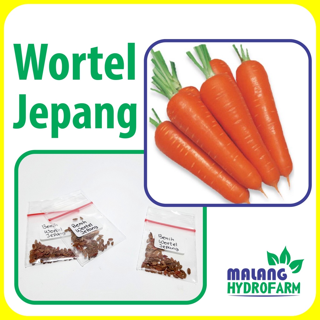 Jual Benih Wortel Jepang Unggulan berkualitas biji bibit hydroponik ...