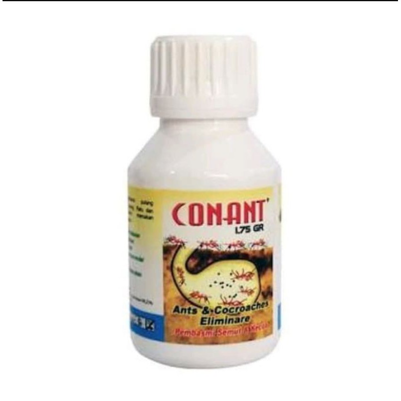 Jual racun semut conant 20gr(pembasmi semut dan kecoa) | Shopee Indonesia