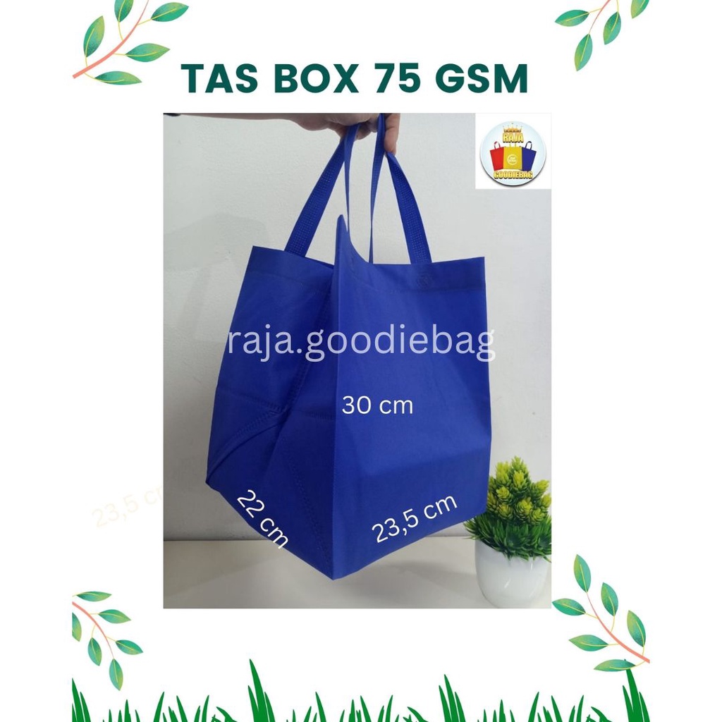 Jual Tas goodie bag box / spoundbond kotak nasi 22x22 | Shopee Indonesia