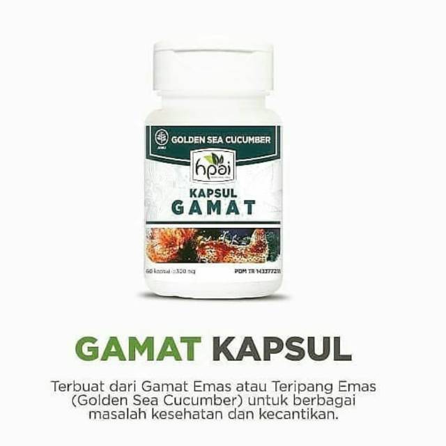 Jual Gamat kapsul untuk tulang (HNI) | Shopee Indonesia