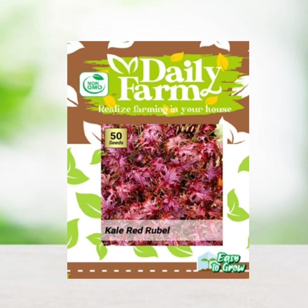 Jual Benih Sayur Kale Merah - KALE RED RUBEL - Red Ruble - Daily Farm ...