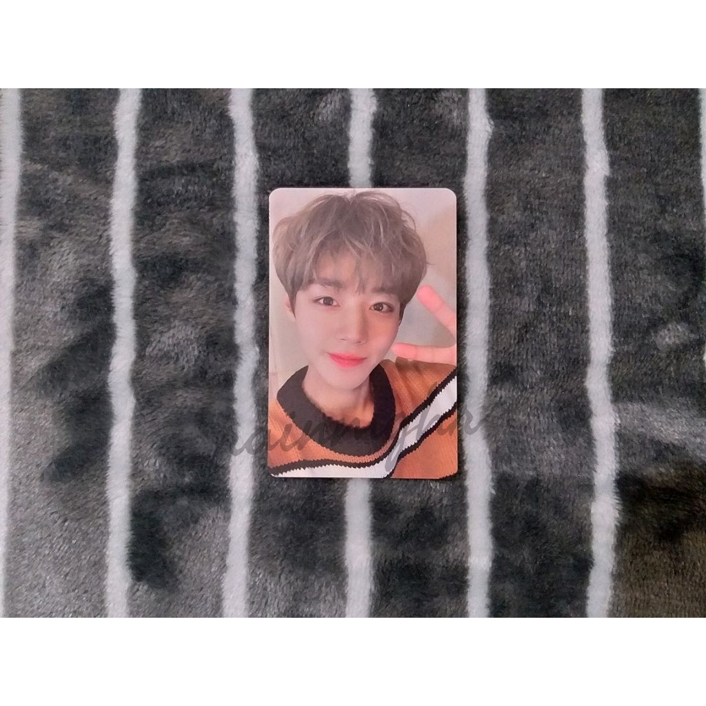 Jual Park Jihoon Maykit Fankit 1st Gen Photocard/PC Official (SHARING ...