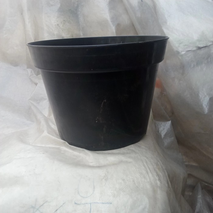 Jual Pot Polos Hitam Grace 40 Grosir | Shopee Indonesia