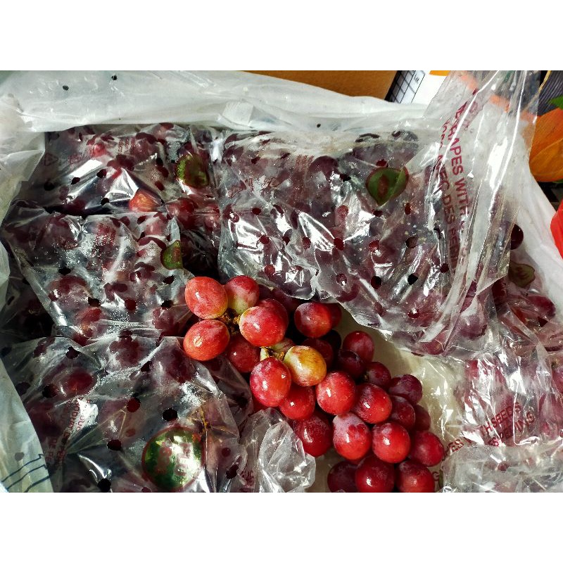 Jual buah anggur merah PERU BESAR & manis ada biji | Shopee Indonesia