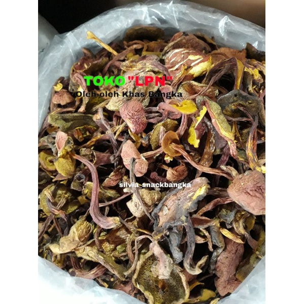 Jual Jamur Kulat Pelawan Asli Bangka (100gram) | Shopee Indonesia