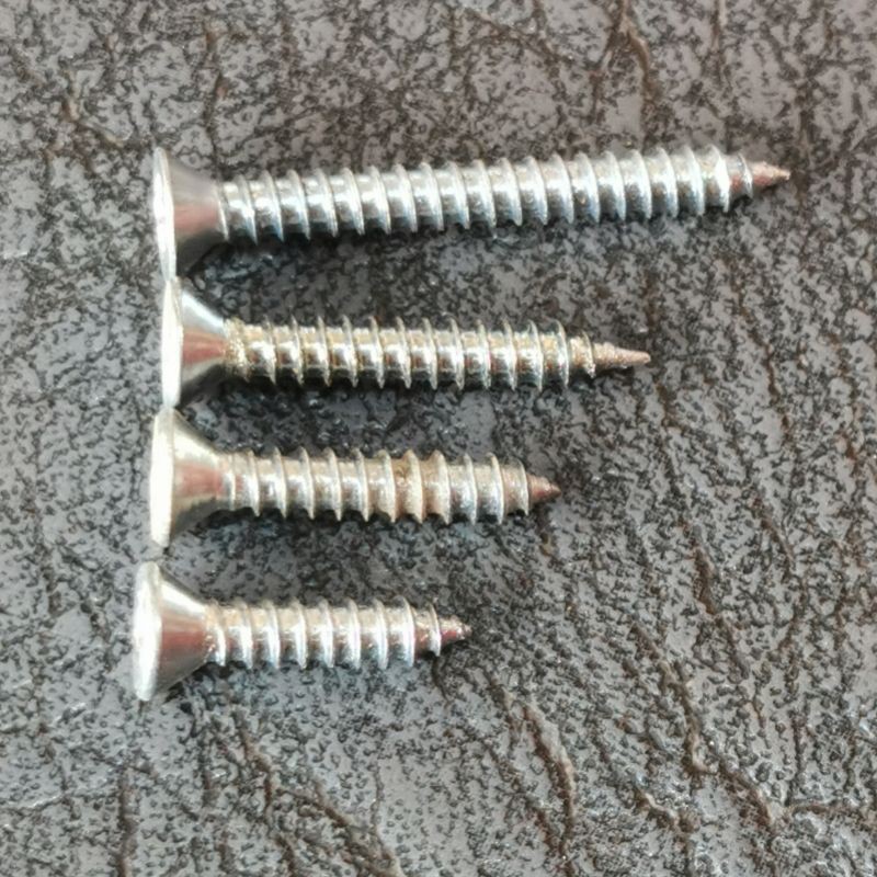 Jual Sekrup Pipih FAB Ukuran 4 x 1cm, 1.5cm, 2cm, 2.5cm | Shopee Indonesia