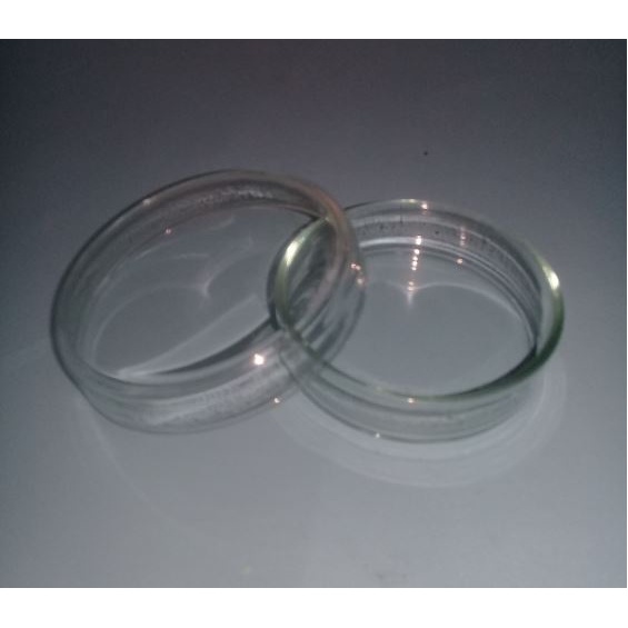 Jual Cawan Petridish kaca dia 60 x15 mm | Shopee Indonesia