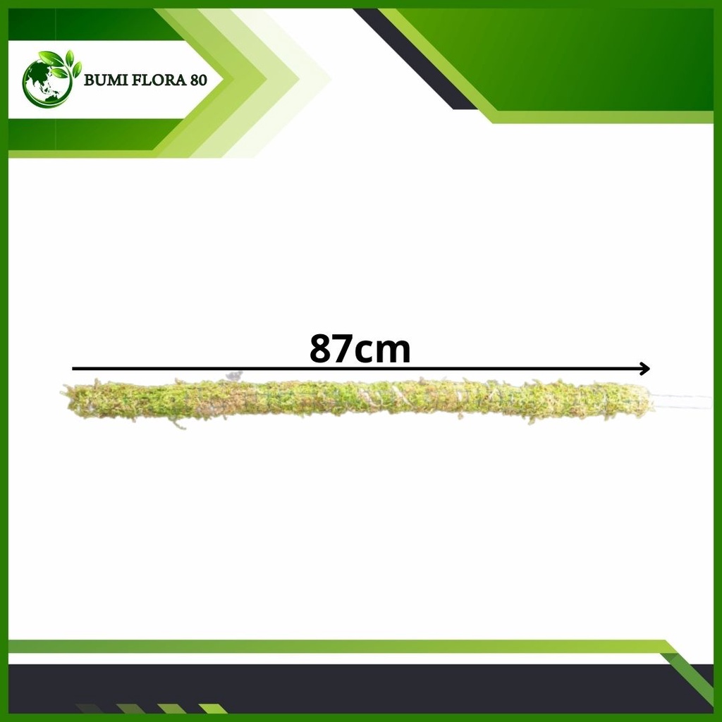 Jual turus lumut 80 cm/tiang penyanggah pohon | Shopee Indonesia