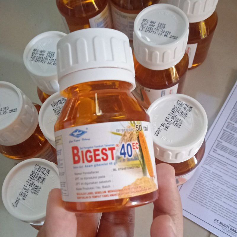 Jual Bigest 40ec (50 ml) | Shopee Indonesia