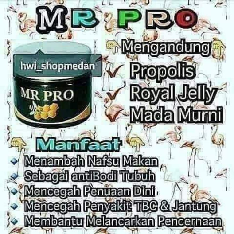 Jual Mr Pro | Shopee Indonesia