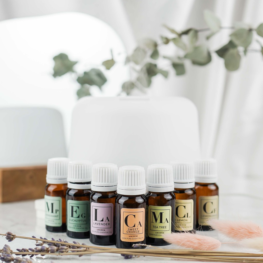 Jual Paket Diffuser + 8 Essential Oil | Shopee Indonesia