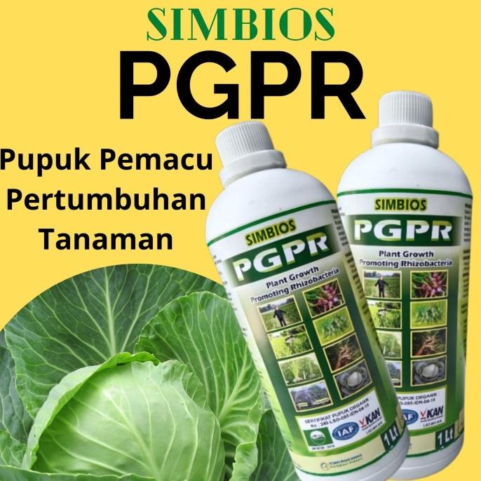 Jual Pupuk PGPR Fungisida Hayati Tricoderma, PGPR Obat Layu Fusarium ...