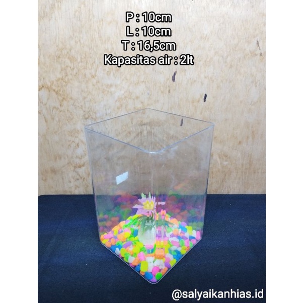 Jual Soliter akrilik 2lt aquarium mini utk ikan hias Cupang Guppy dll ...