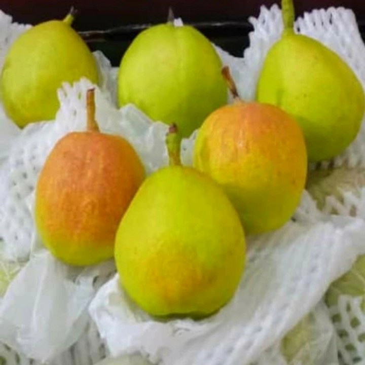 Jual Pir Siangli Xiangli Xiang Lie Fragrant Pear 1 dus 7 kg | Shopee ...