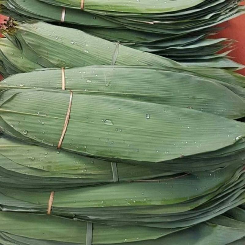 Jual Daun Bacang fresh/ daun bambu | Shopee Indonesia