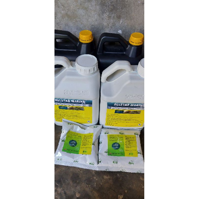 Jual DELSTAR MARINA | Shopee Indonesia