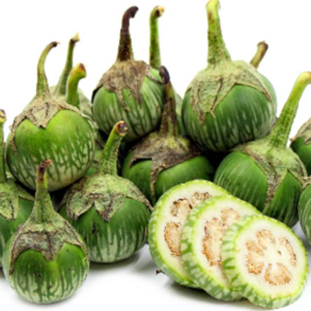 Jual Terong Hijau 250 gr | Shopee Indonesia