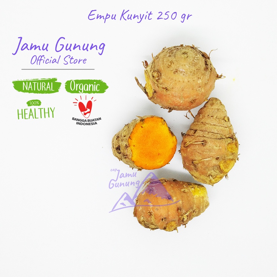 Jual Biang Kunyit 250gr atau Empu Kunir Segar - Bahan Jamu Organik | Shopee Indonesia