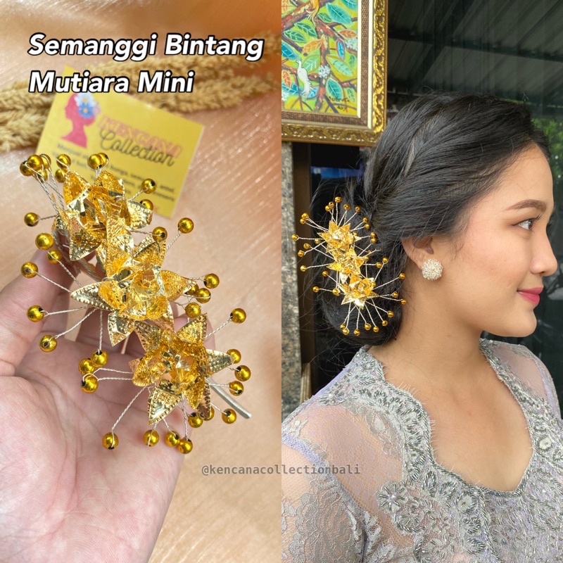 Jual semanggi emas bali bintang mutiara mini/semanggi emas Bali ...