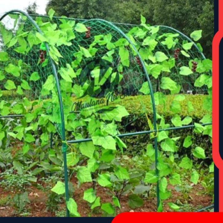 Jual Paling Popular 8KLWQ Jaring Rambatan Tanaman/Jaring Tanaman Buah Anggur/Melon/Sayuran/HIJAU ...