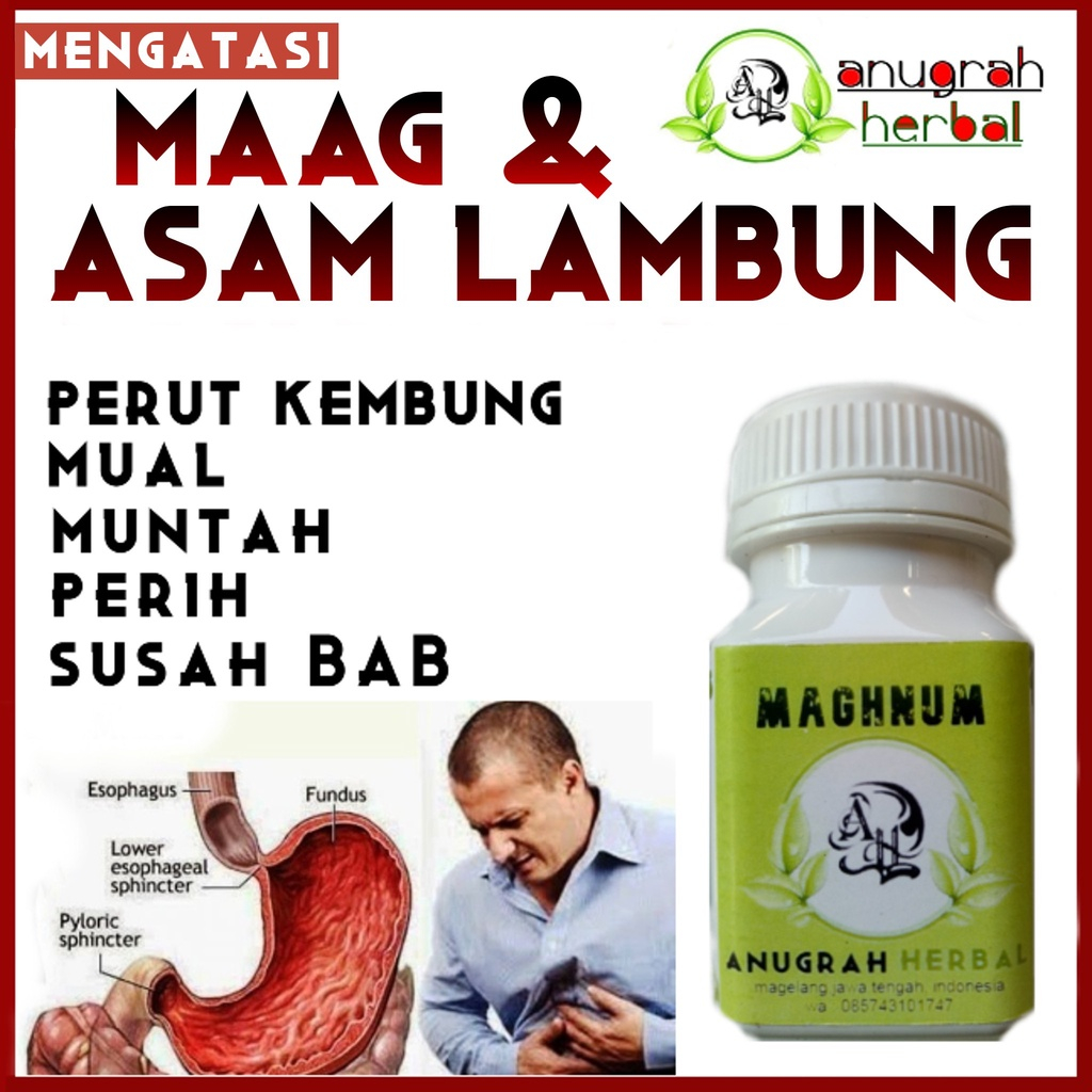 Jual Obat maag Obat asam lambung naik Obat gerd Obat pencernaan dan ...