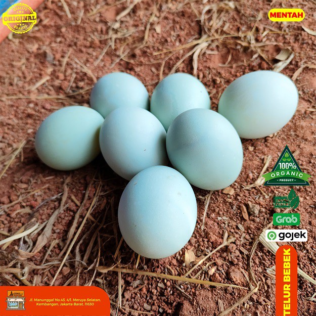 Jual Telur Bebek Mentah 15 butir | Shopee Indonesia