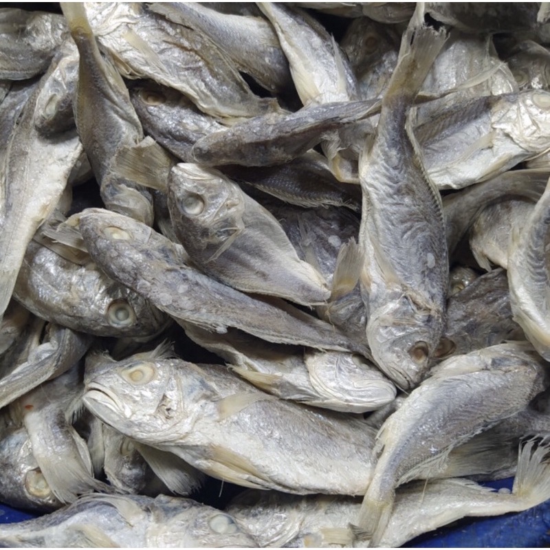 Jual Ikan Gulama Pisang | Shopee Indonesia
