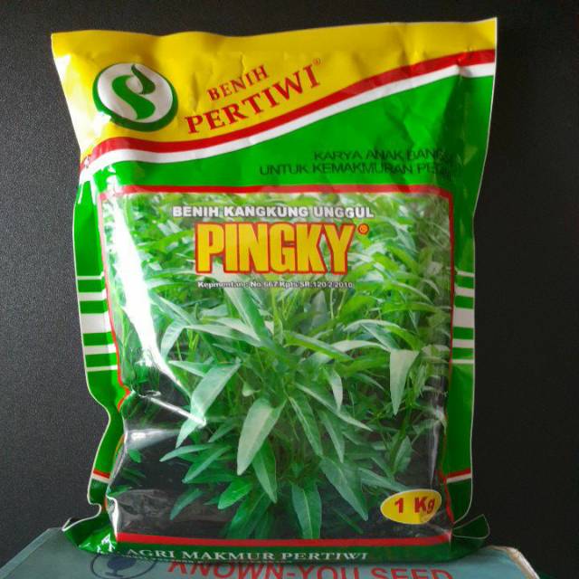 Jual Benih Bibit Biji Kangkung Daun Lebar PINGKY (1000 gr) | Shopee Indonesia