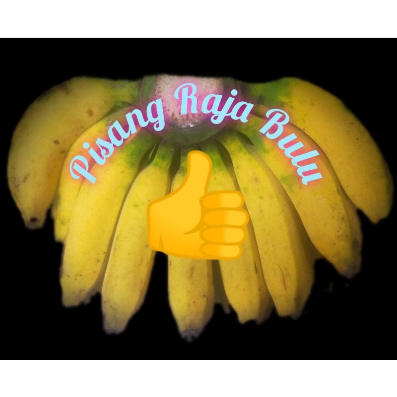 Jual Pisang Raja Bulu Fresh Super | Shopee Indonesia