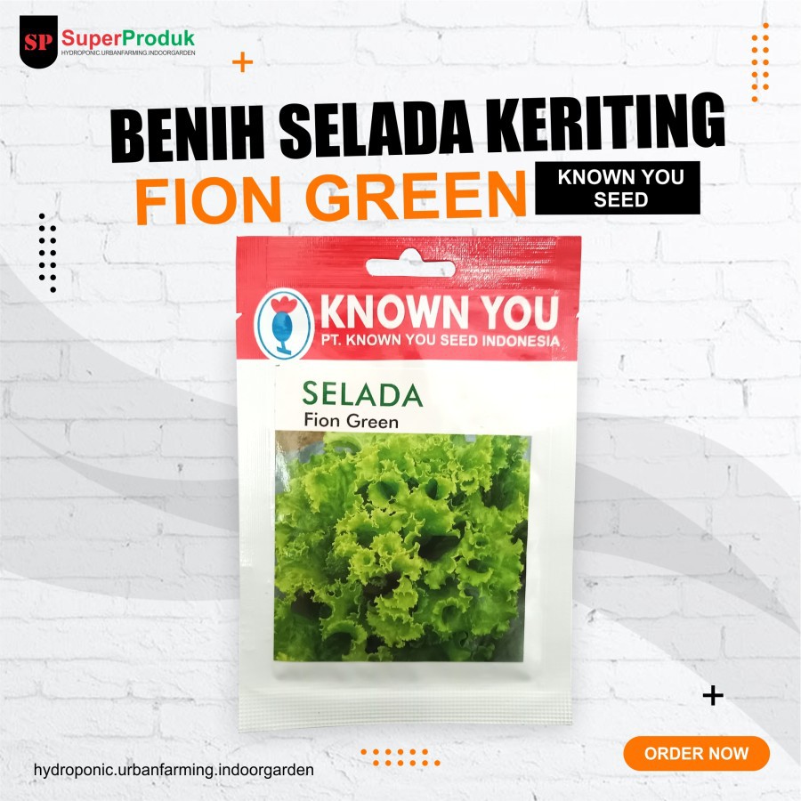 Jual Benih Selada Keriting Fion Green KYS | Shopee Indonesia