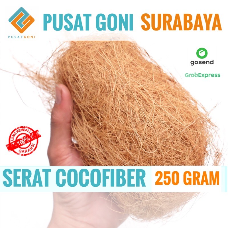 Jual Serabut Kelapa 250 Gram - Sabut Kelapa Media Tanam Anggrek ...