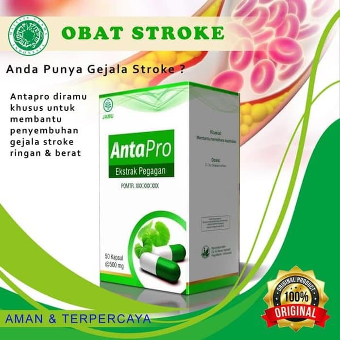Jual OBAT STROKE HERBAL - ANTAPRO BHARATA | Shopee Indonesia