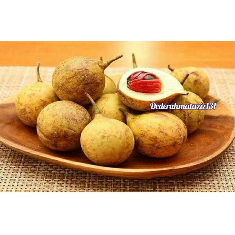 Jual Buah pala segar utuh 1 kg | Shopee Indonesia