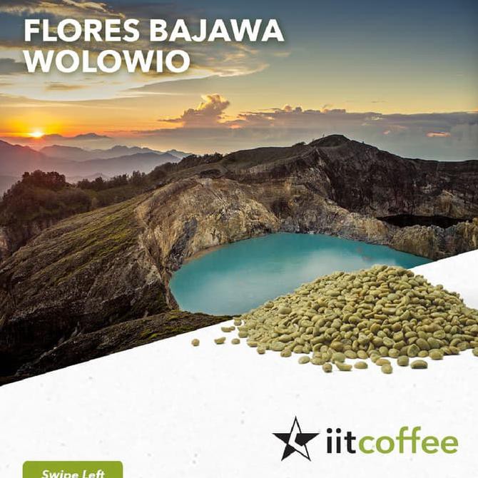 Jual Arabica Green Beans - Flores Bajawa Wolowio Washed - 1kg | Shopee ...