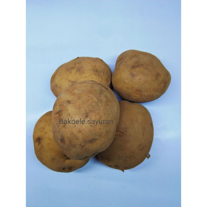 Jual KENTANG KUNING SAYURANG SEGAR FRESH 500 Gram | Shopee Indonesia