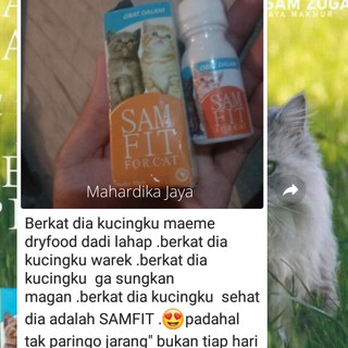 Jual Obat Diare Kucing Muntah Lemas Tidak Mau Makan Mencret Kitten Dan ...
