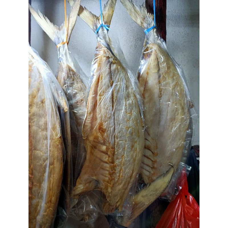 Jual IKAN ASIN TALANG / YANPOU / JAN PHU / YAM POU / YANPU / IKAN ASIN ...