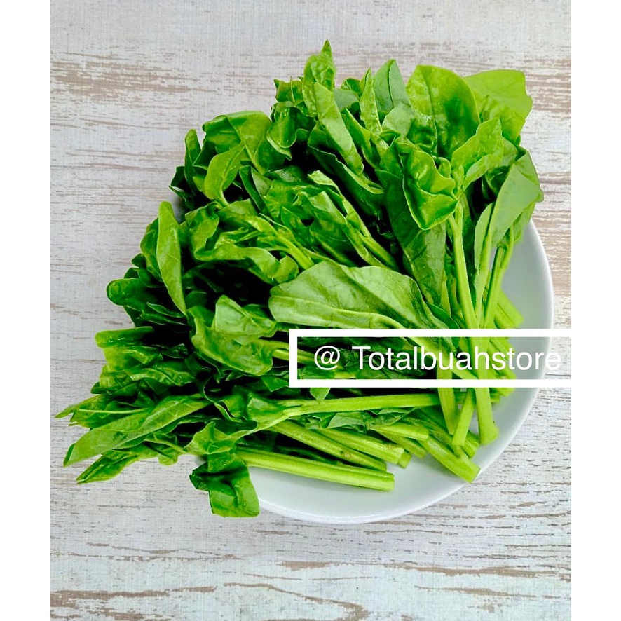 Jual TBS.ID-Horenzo Hydroponik | Shopee Indonesia