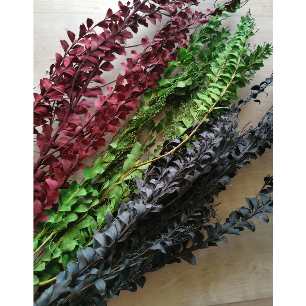 Jual Daun Preserved Triangle Leaves Per Pack | Shopee Indonesia