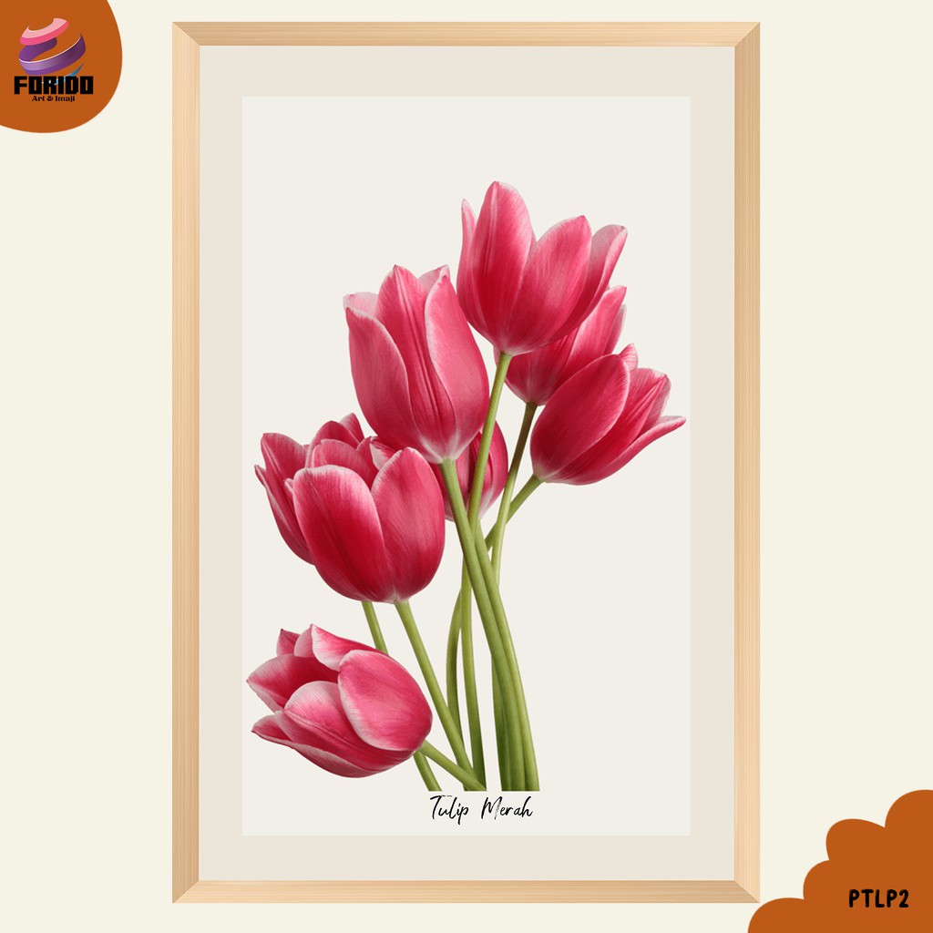Jual Poster A3/A4 Bunga Tulip Hiasan Dinding | Shopee Indonesia