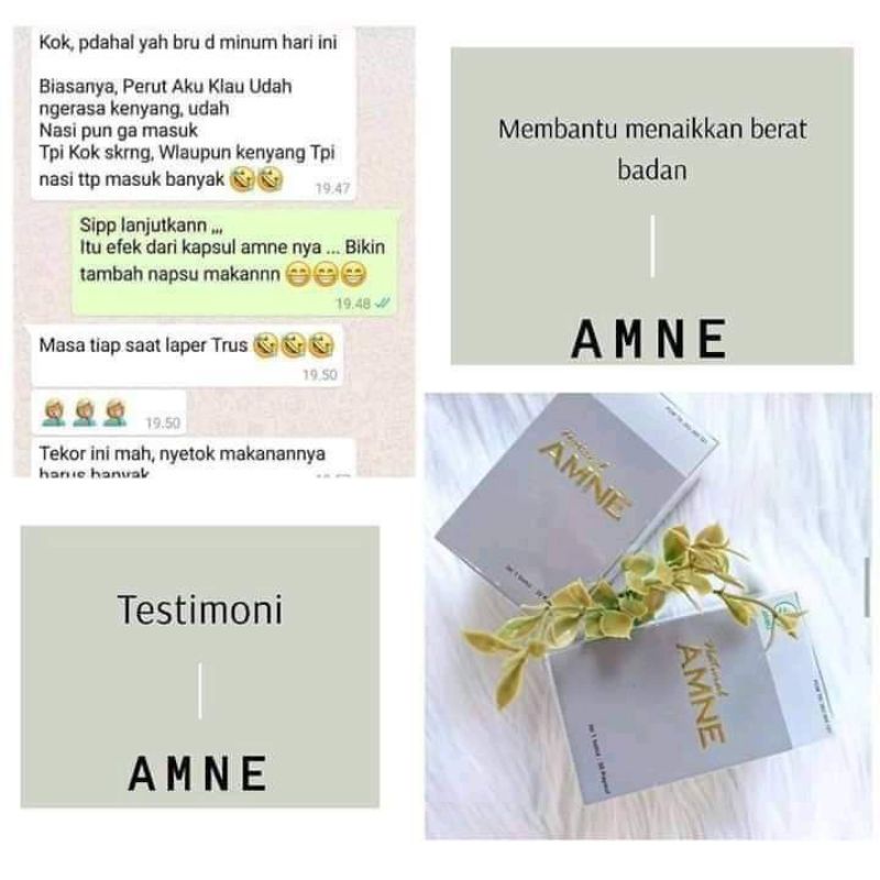 Jual AMNE NASA Penambahan Berat Badan | Shopee Indonesia