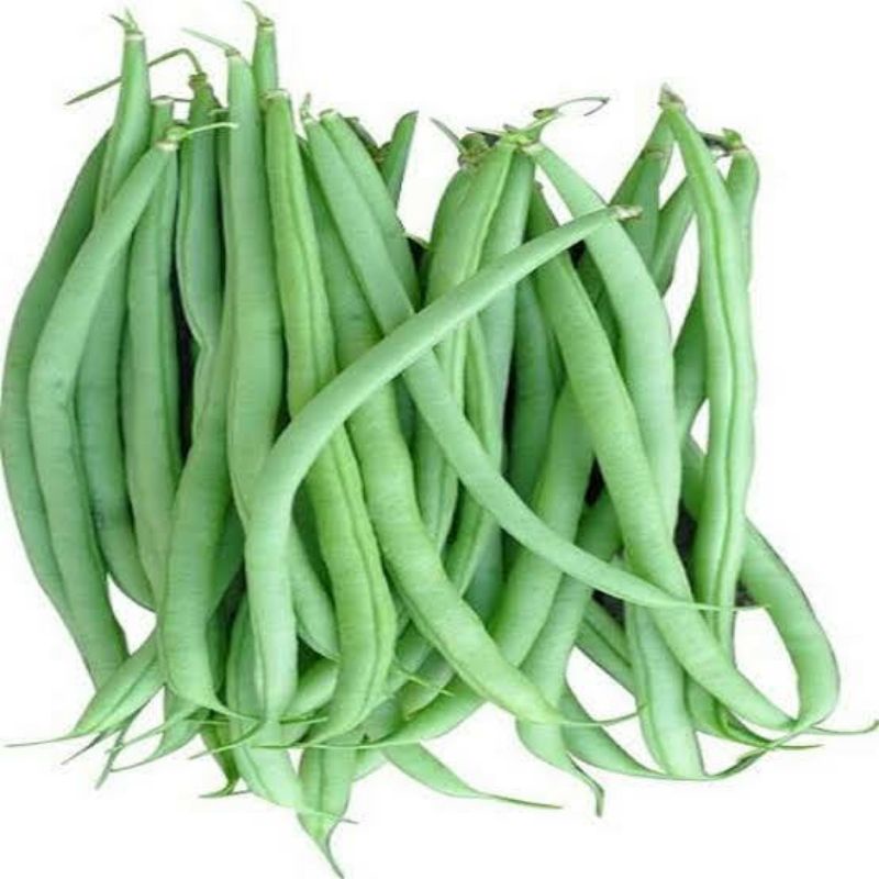 Jual benih Buncis rambat 20 seed | benih biji tanaman sayuran | Shopee ...